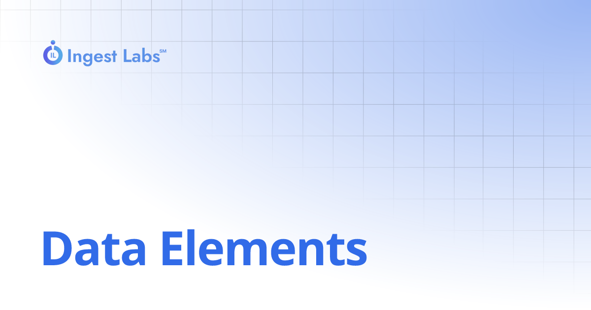 Data Elements | Ingets Labs Documentation